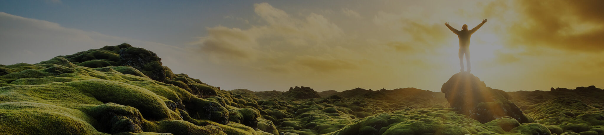 November and December: The Perfect Months for Roth Conversions